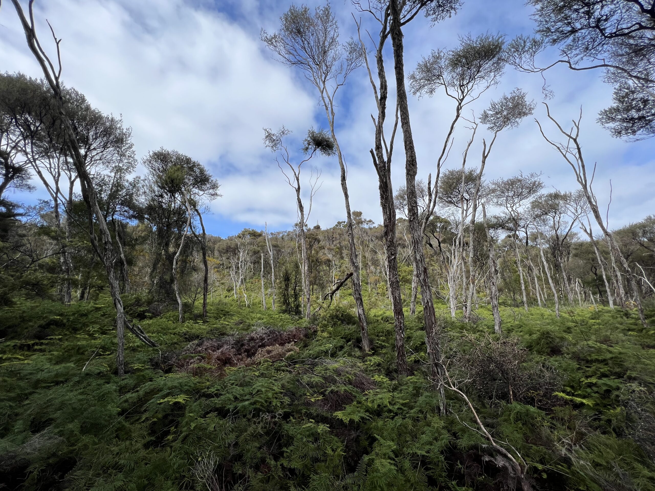 Imerys Performance Minerals Asia Pacific - NZ Environmental Management